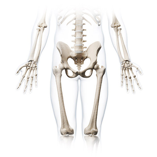 Morscher Osteotomy | CLLC Montréal, Dre Marie Gdalevitch