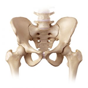 Canadian Limb Lengthening Center | Dr Marie Gdalevitch